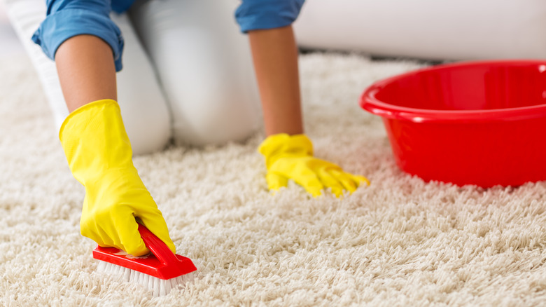 Common Things You Shouldn't Clean With A Paper Towel