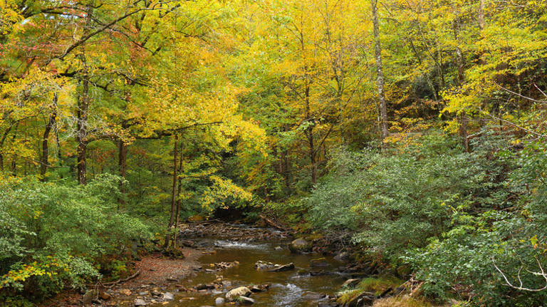 This Overlooked Blue Ridge County Has Whitewater Rafting, North ...