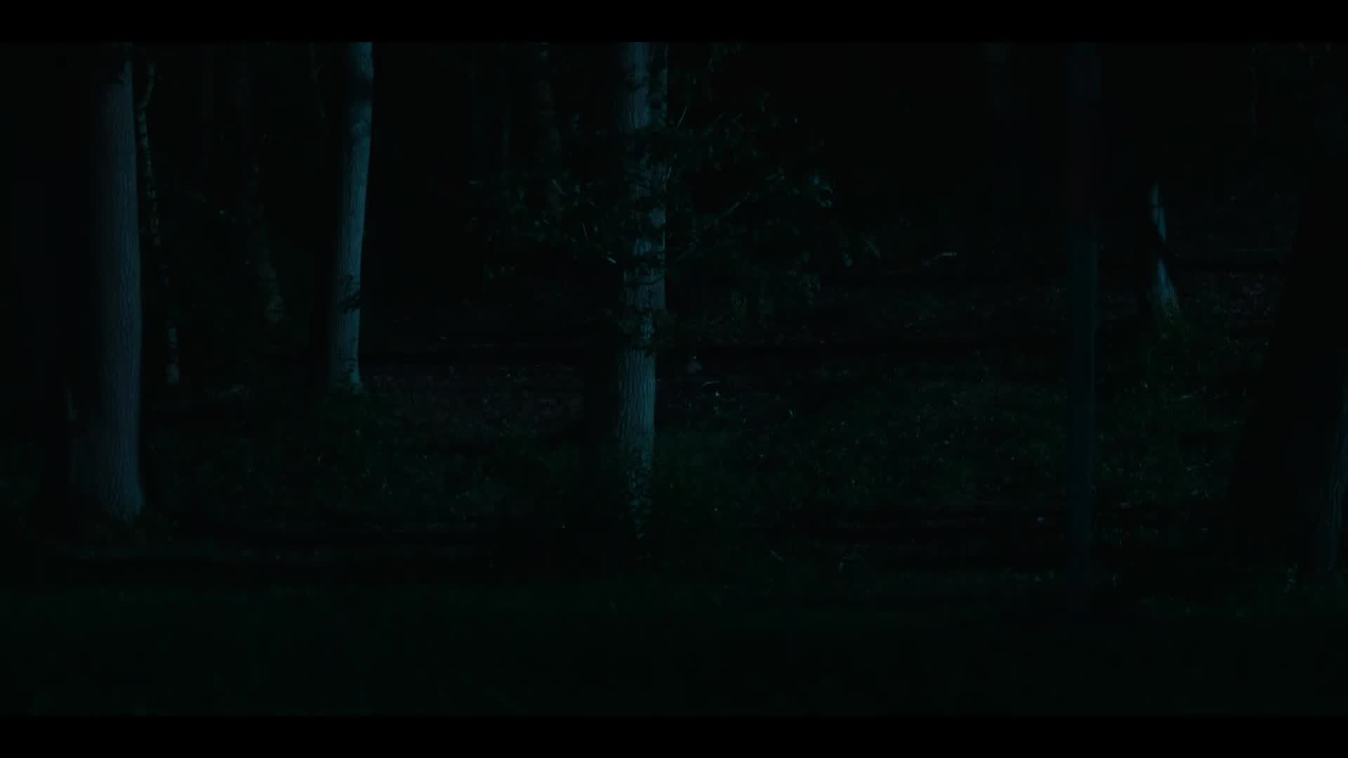 Other: Official Trailer