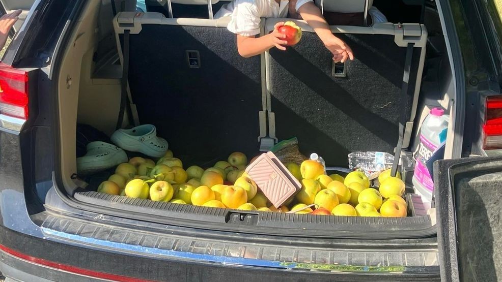 'Bad apples' attempted theft pushes Pataskala fruit farm to boost security