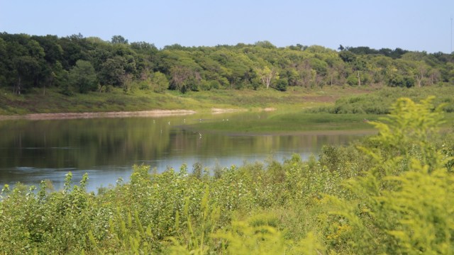 Experts thrilled after documenting first-of-its-kind record of rare ...