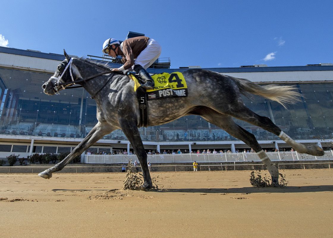 Post Time Goes Home For Maryland Million Classic