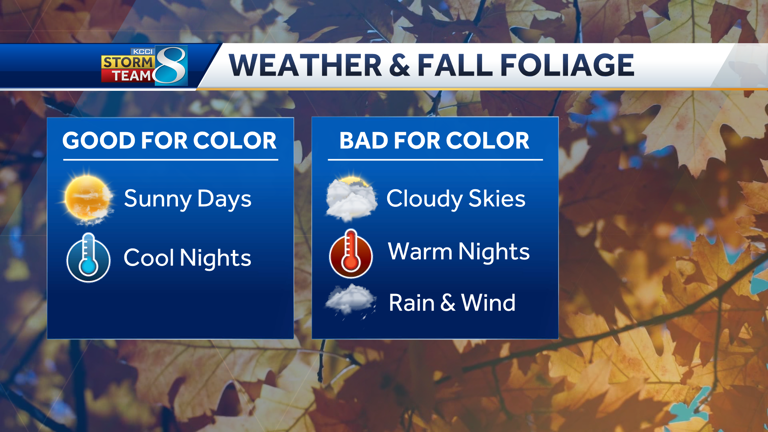 Iowa fall colors: How recent weather might influence this season's foliage