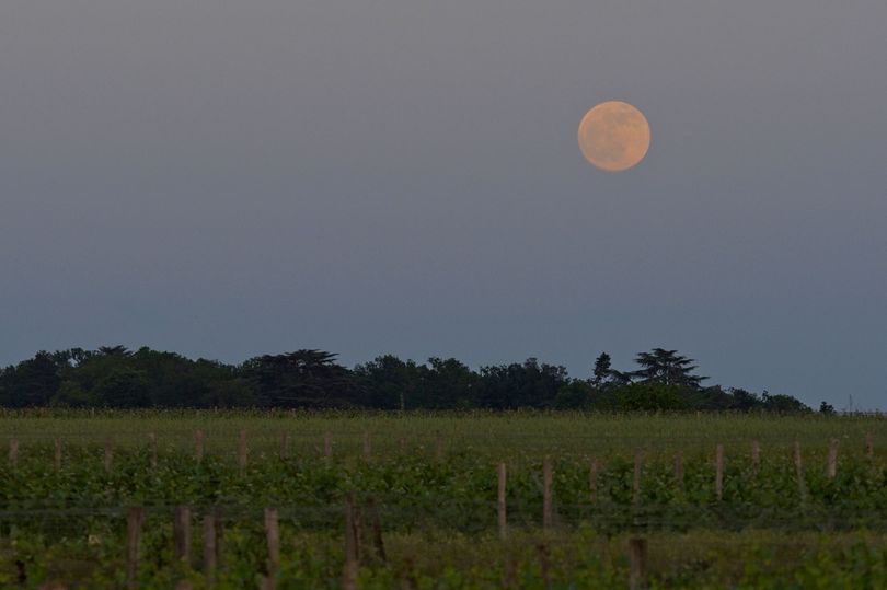 Best time to see lunar eclipse tonight as rare Blood Moon is visible to ...