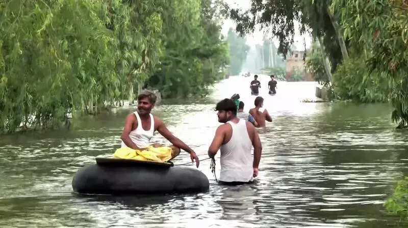 Punjab’s flood toll rises to 48; 2k villages and 3.9 lakh people affected