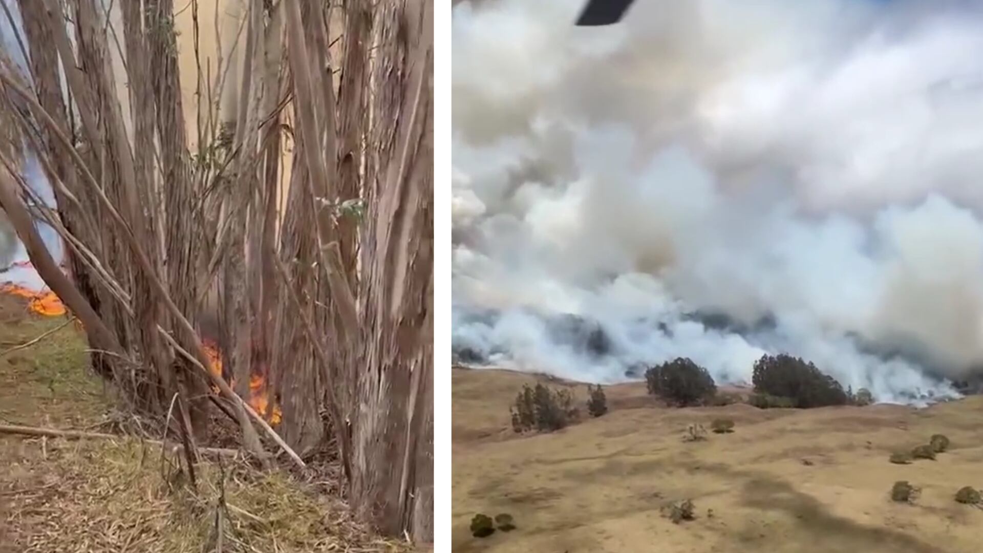 Hawaii Island fire burns for three days near eucalyptus forest