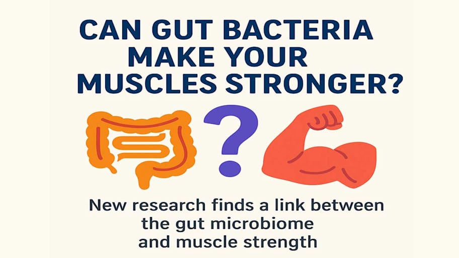 Gut Power: How Two Probiotics Could Unlock Bigger Muscles and Faster ...