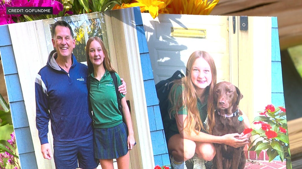 Girl released from hospital after suffering traumatic brain injury in ...