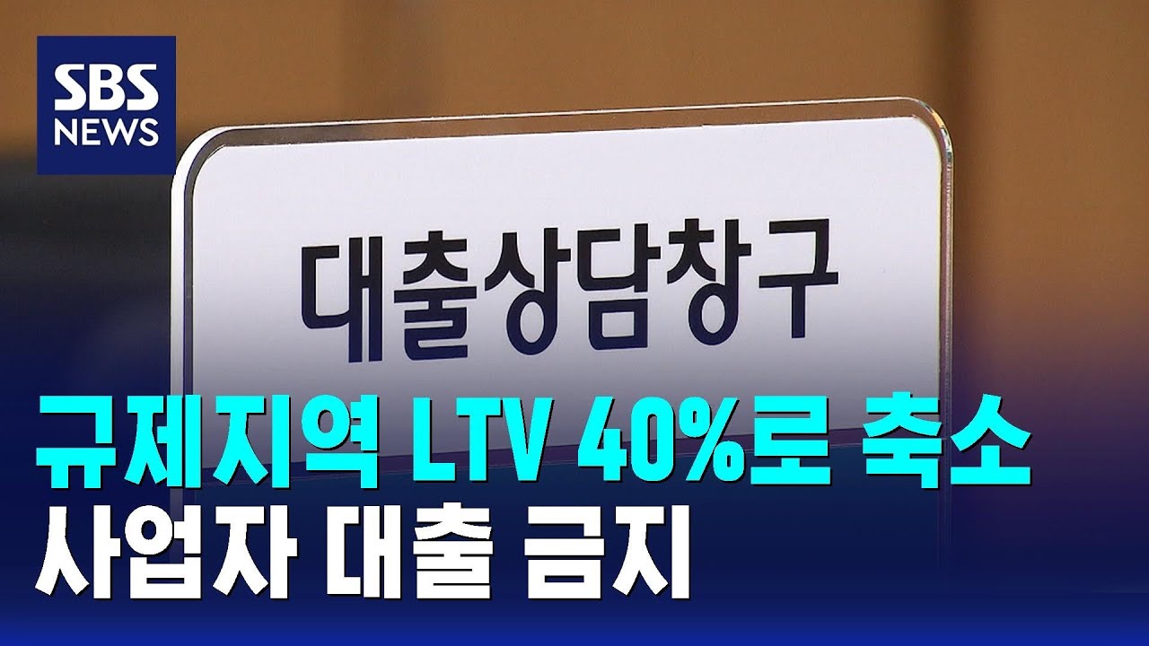 규제지역 LTV 40%로 축소…사업자 대출 금지 / SBS