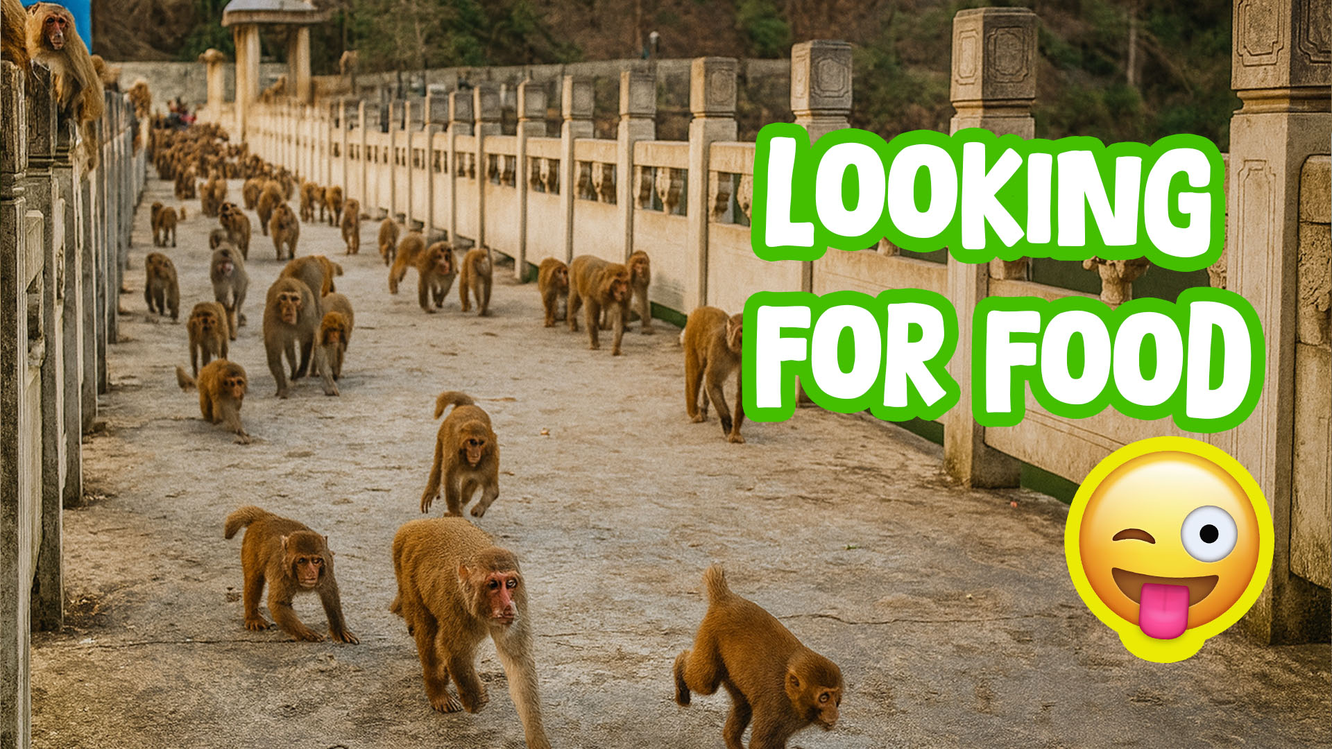 Dier op zoek naar voedsel