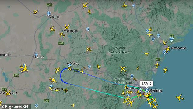 Chaos as flight forced to make emergency landing at Sydney Airport ...