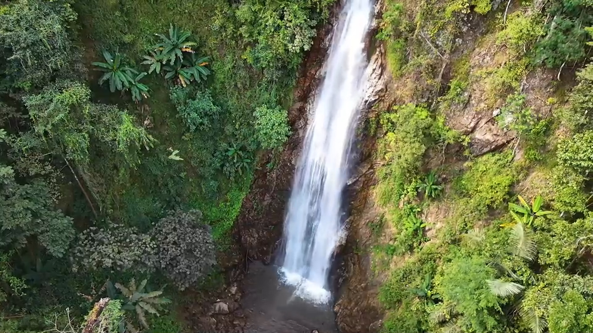 Chiang Rai - Singha Park and Khun Korn Waterfall