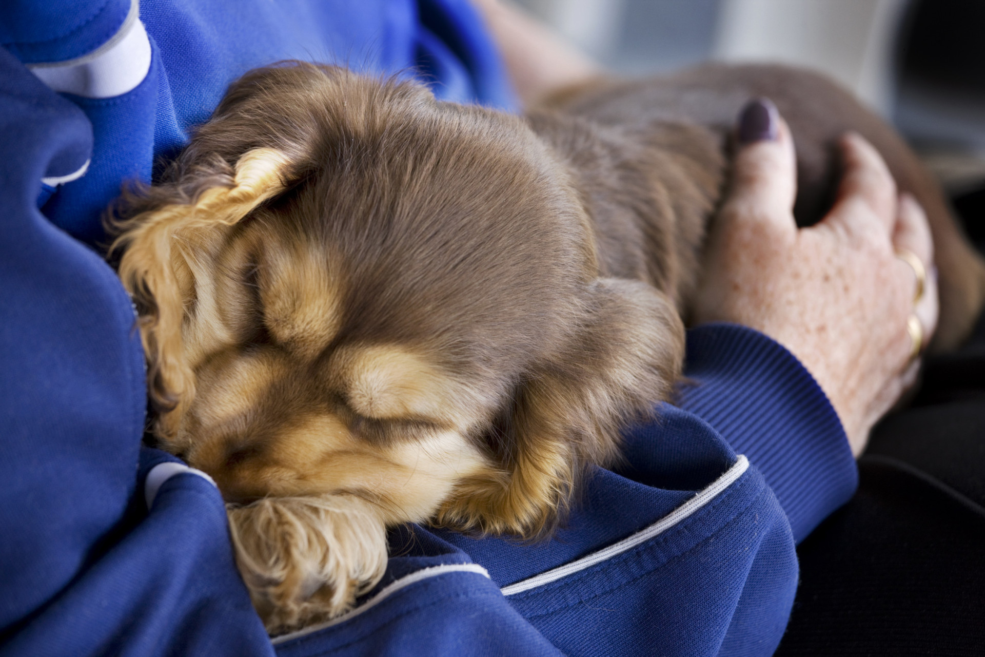Having a hard time waking up today? You're not alone