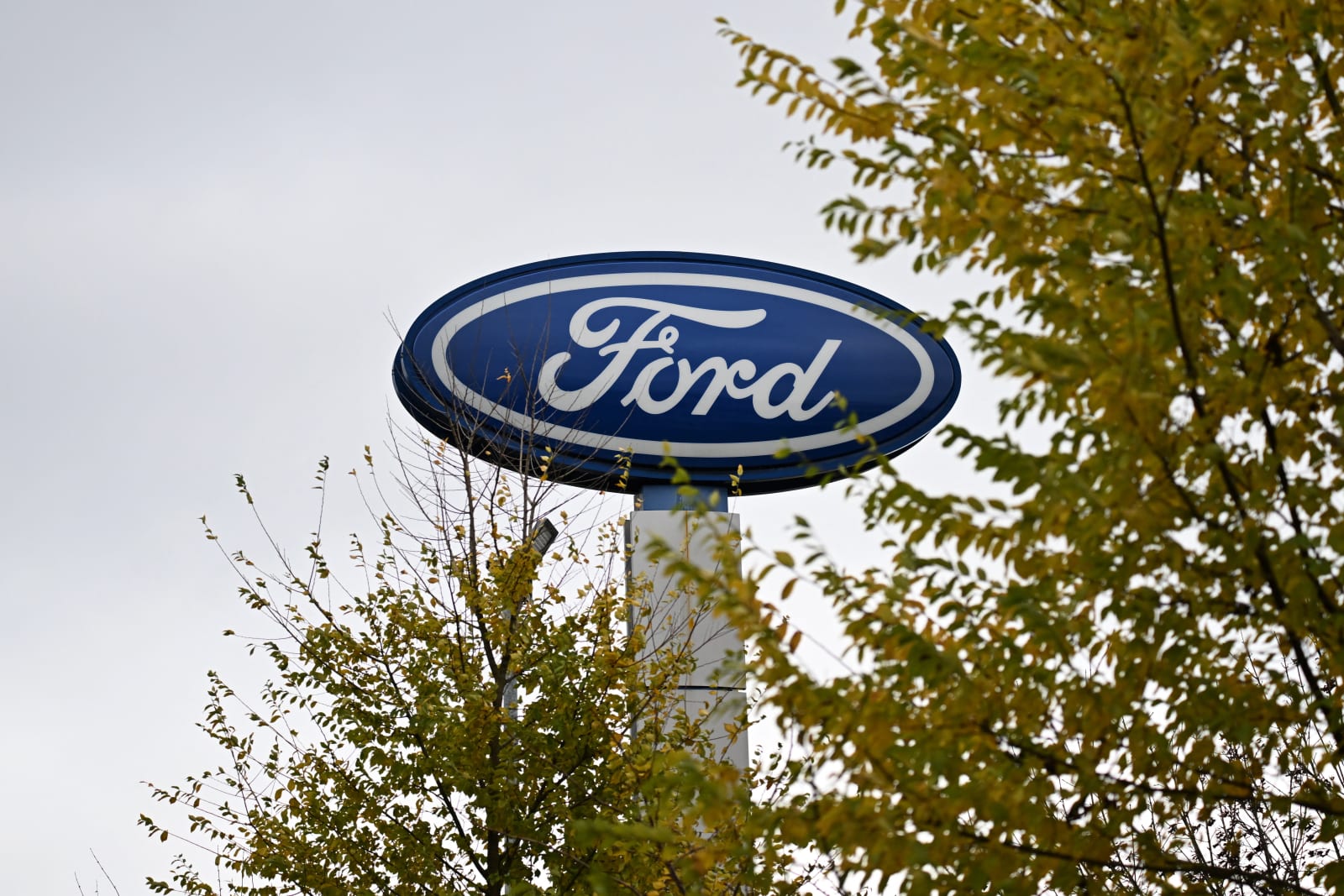 URGENT: Ford Recalls Nearly 500,000 SUVs for Brake Failure Risk