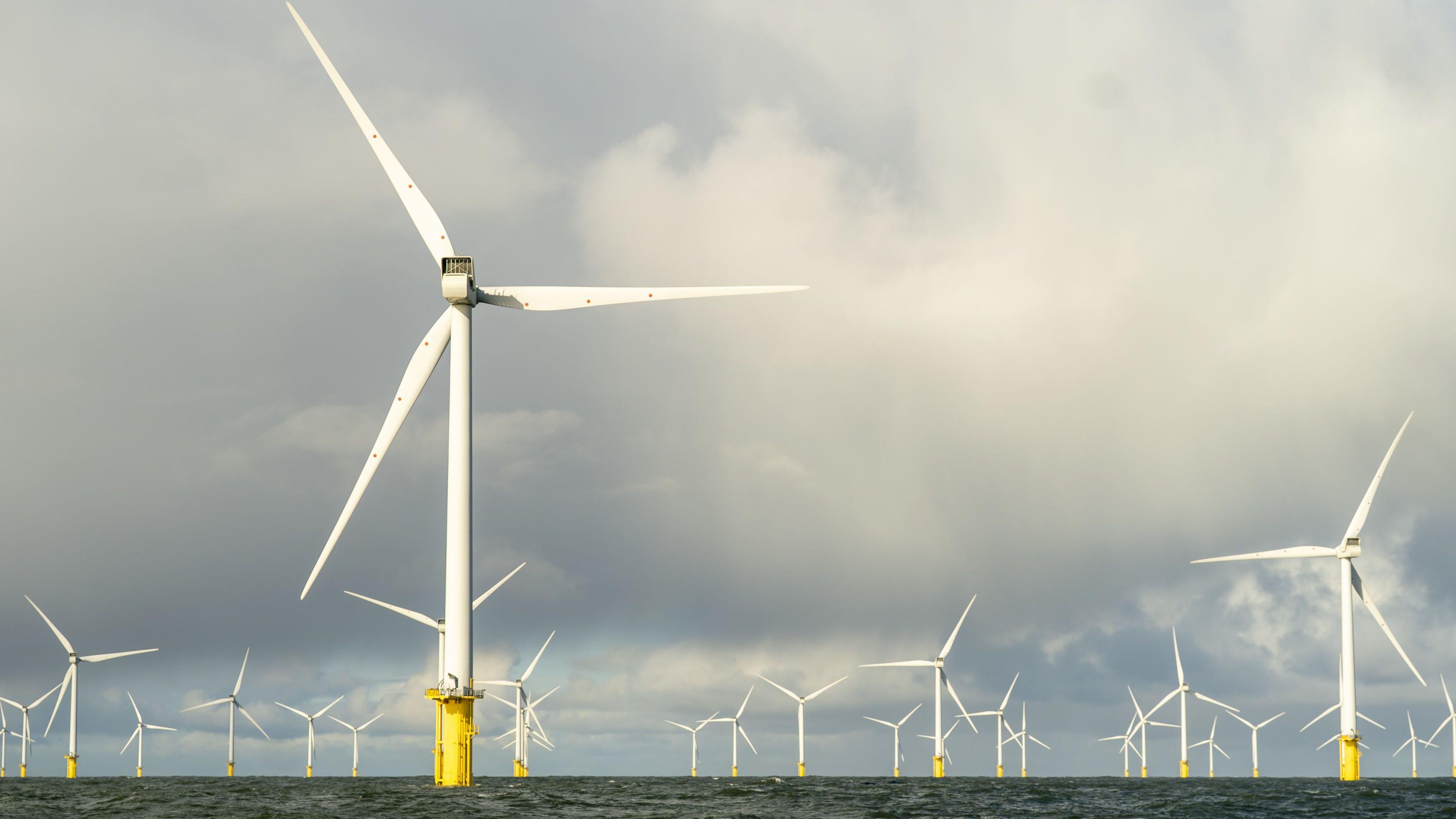 Island windfarms 'could power millions of homes'