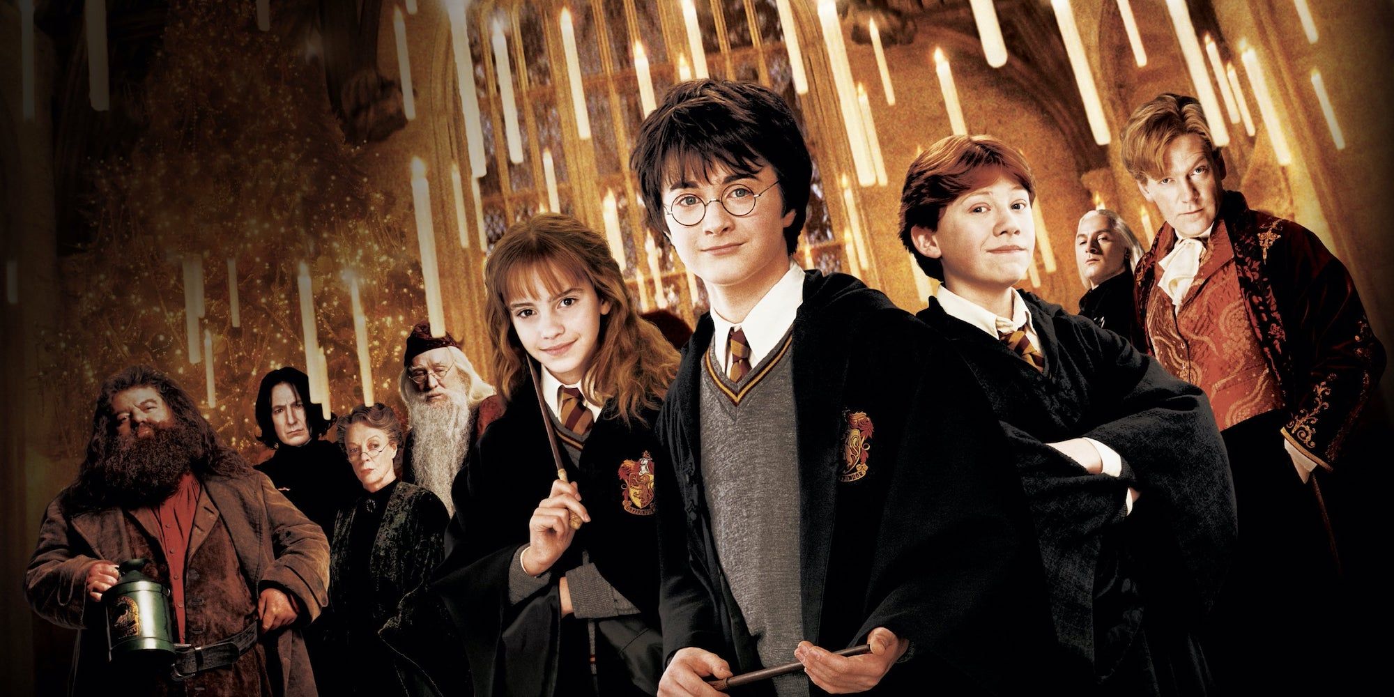 This $878 Million Harry Potter Sequel Joins the First Film on Streaming ...