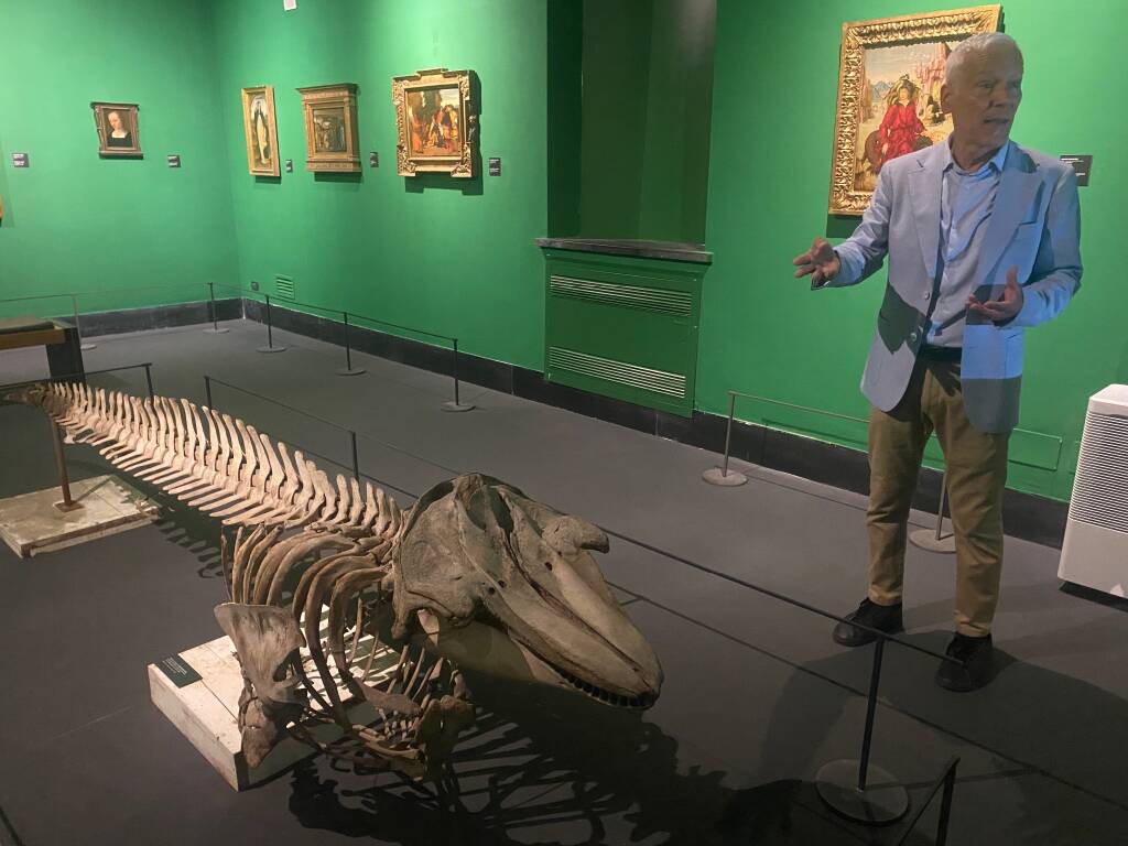 Museo Lia, visita guidata in inglese alla mostra “Naturale Meraviglia ...