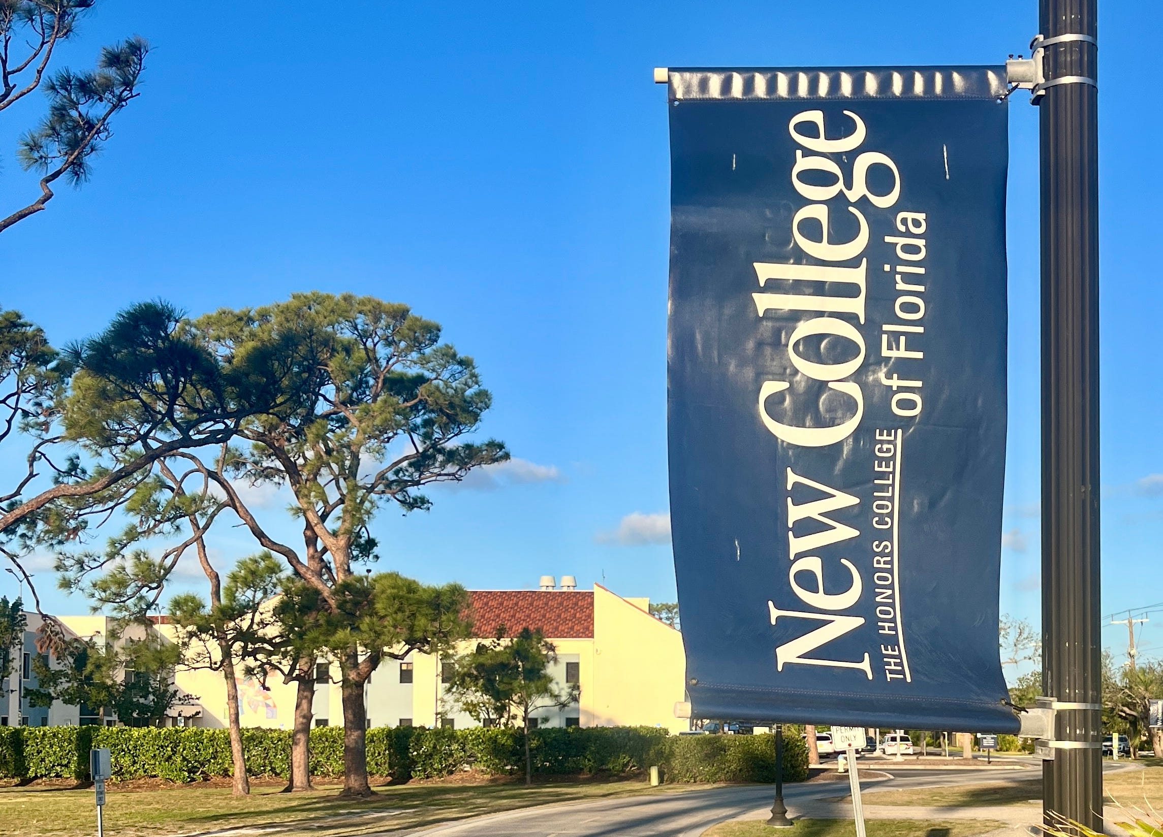 New College wastes money. Why give it another campus? | Opinion
