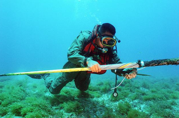 Red Sea Cable Cuts Expose Fragility of Global Internet Links