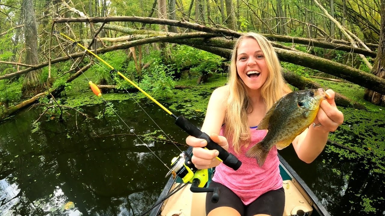 $10 micro rod catches bream deep in swamp