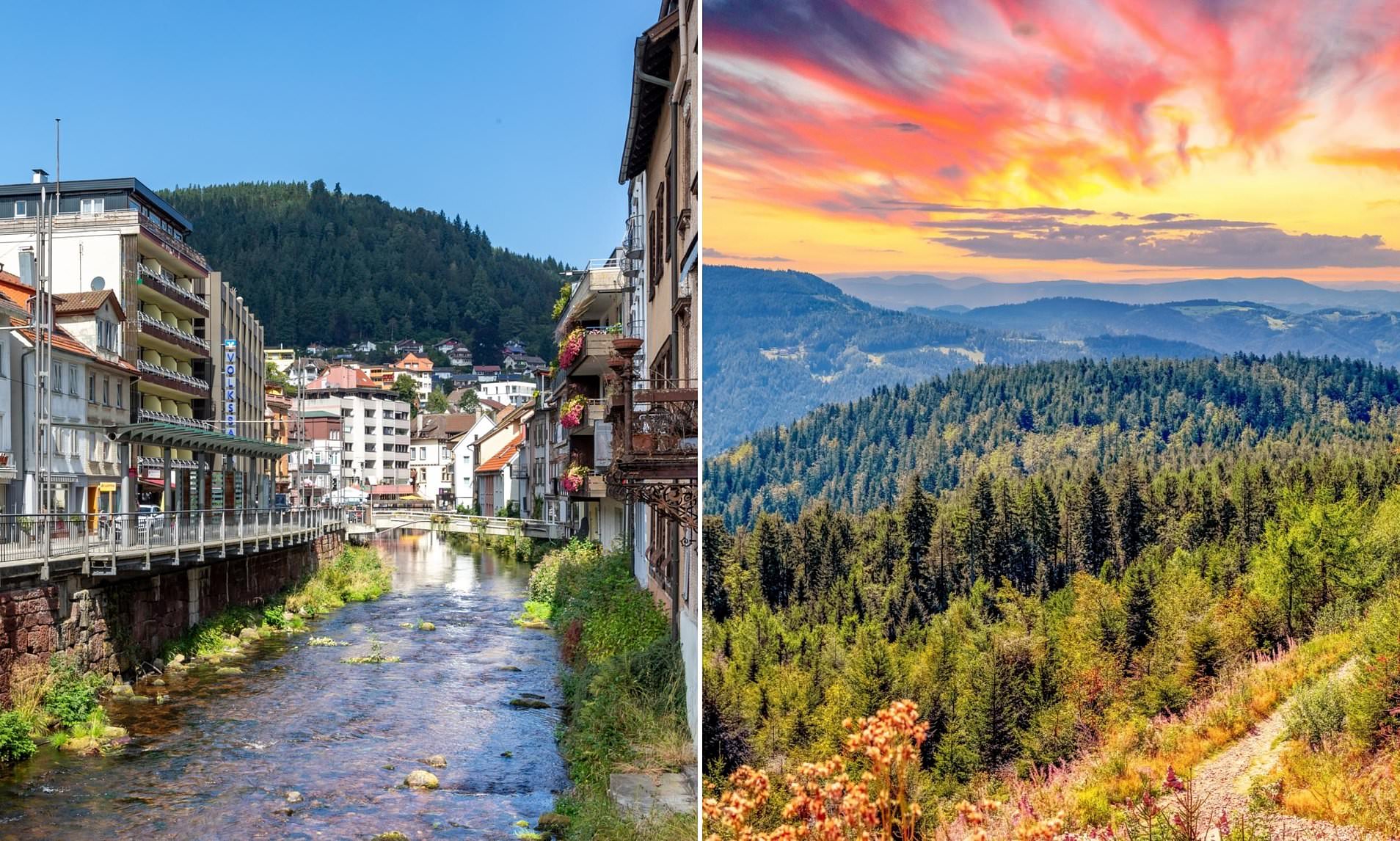 Black (out) Forest! Spa town becomes 'digital detox' hub - after ...