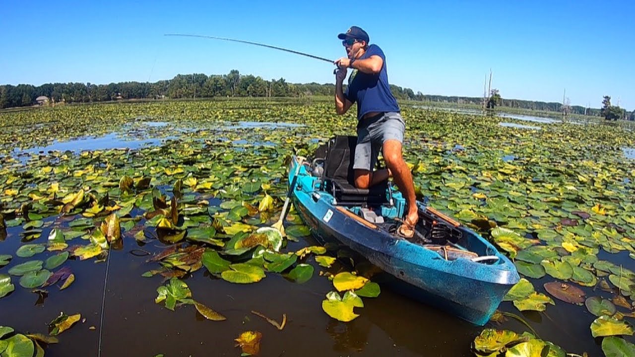 Fishing for lilly pad monster sparks insane blowups
