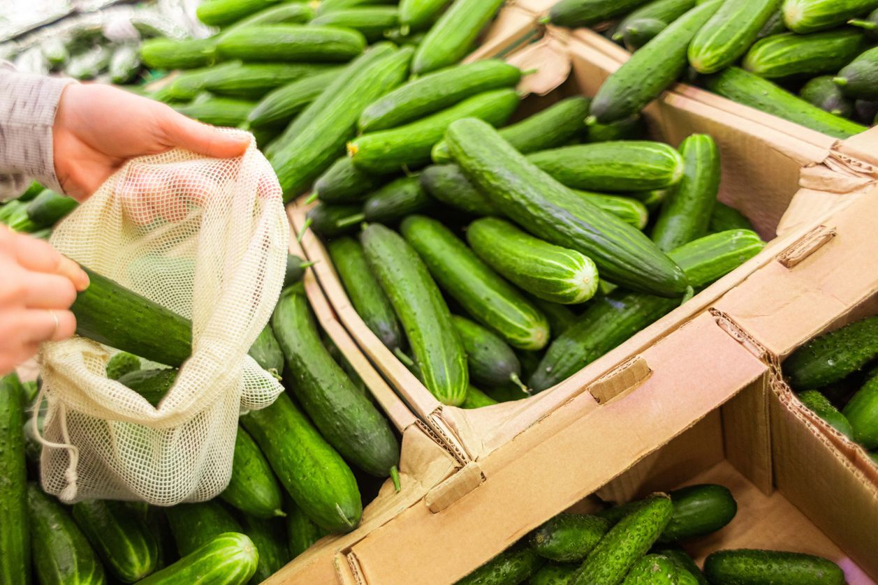 Rappel produits : ces concombres vendus chez U, Leclerc, Carrefour et d ...