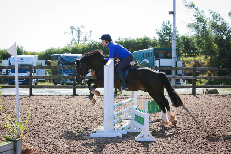 Horse Week: Arena jump mix and showjumping at Ardnacashel Equestrian
