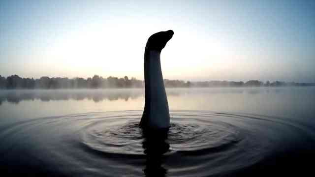 Monster of Loch Ness