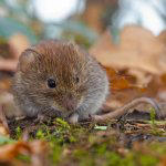 You Asked, We Answered: Our Expert Advice For Your Real Projects ...