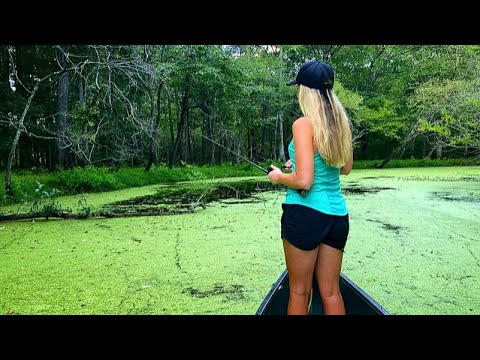 Big fish hiding deep in swampy creek discovered