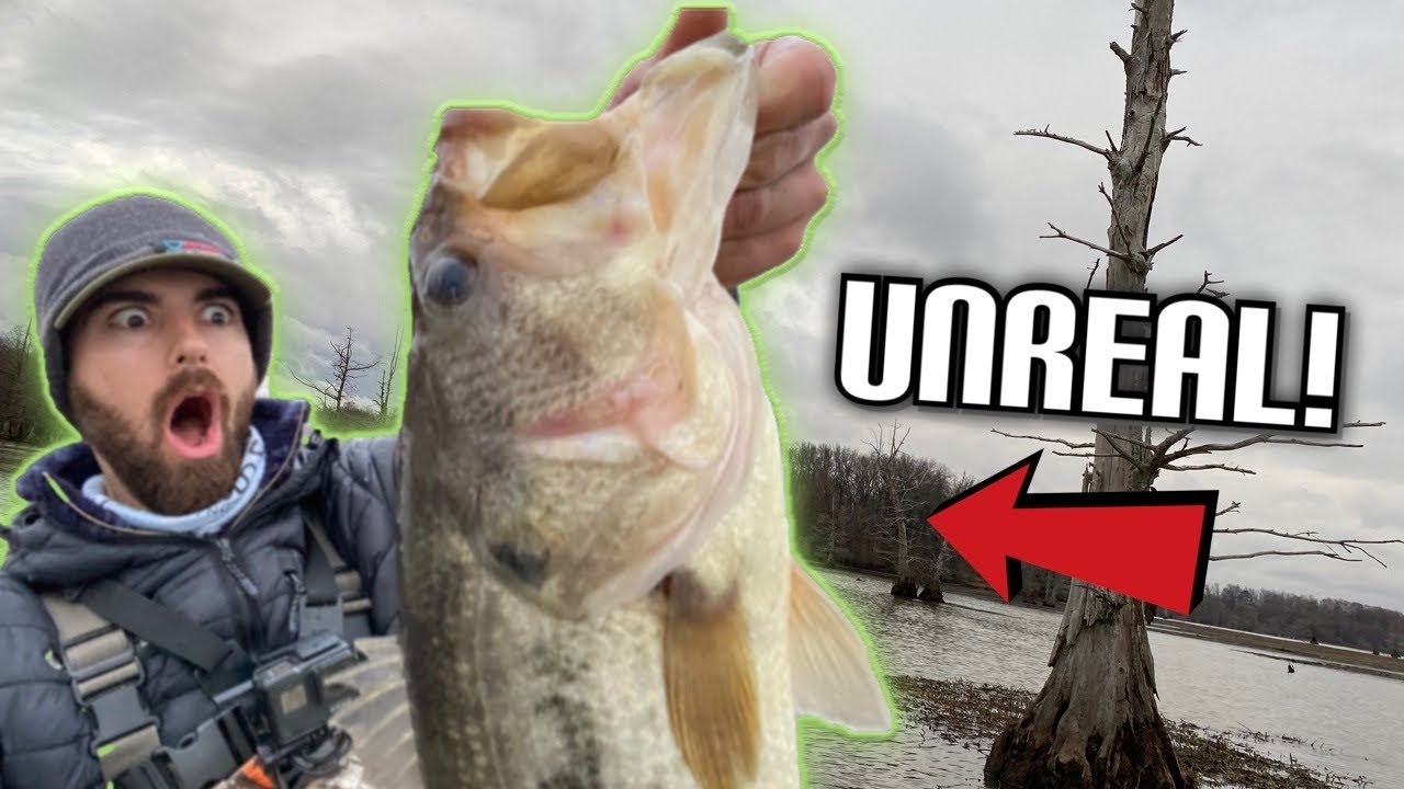 Big bass cannot resist proven winter fishing technique