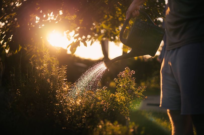 'False autumn' warning as gardeners told 'do 3 things by September 22'