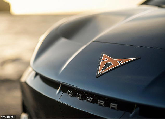Spanish car maker Cupra pins its future on this new small EV: Raval ...