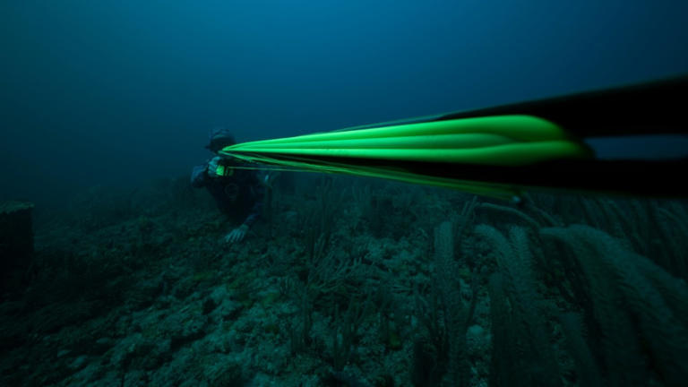 Red Sea cable cut: Who lays the internet beneath the sea?