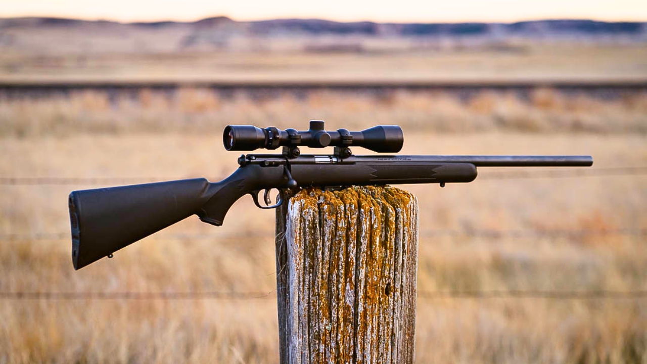Best .22 Rifles That Stay Quiet and Hit Consistently