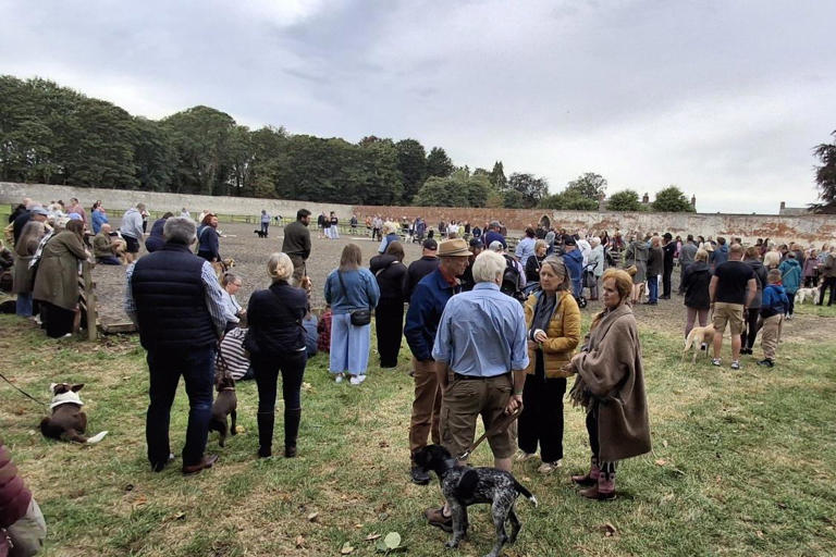Visitors flock to Etal Show