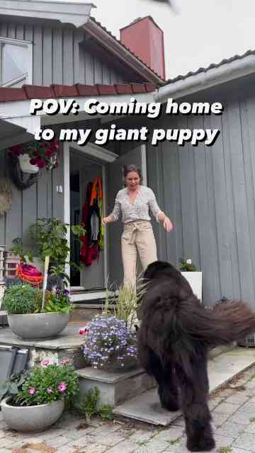 Home Is Always Where the Love Is
