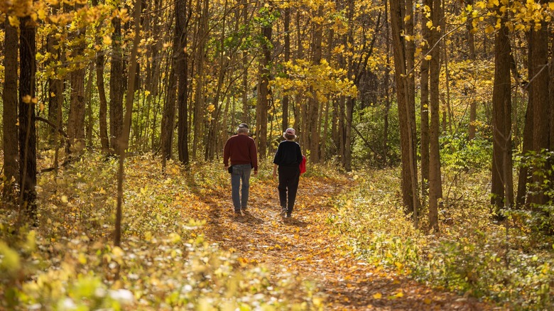 Ohio's Peaceful City Is A Riverside Hideaway With Forest Hikes, Lazy ...