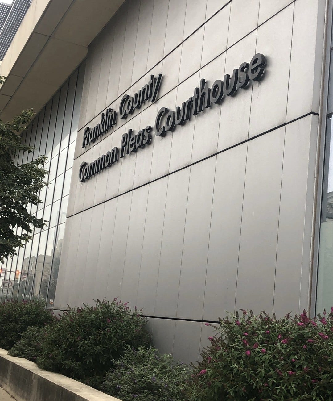 Former ROOTT executive violated pre-trial bail terms, should be jailed ...