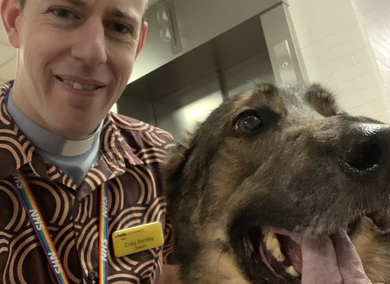 Former Dogs Trust rescue comforted North East NHS staff as a Hospital ...