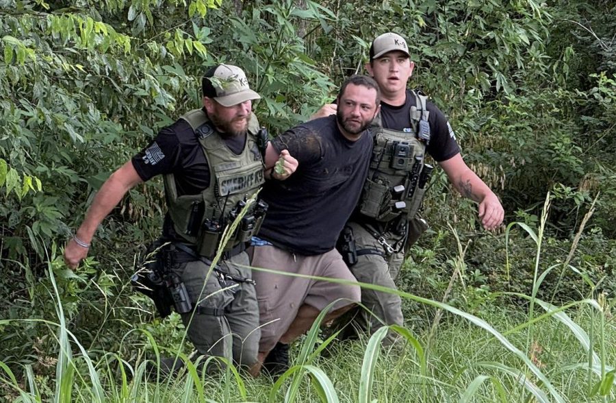 Dog Rescue: K-9s locate fleeing man in woods
