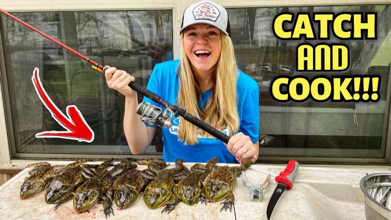 Catching giant bullfrogs with rods for delicious frog legs