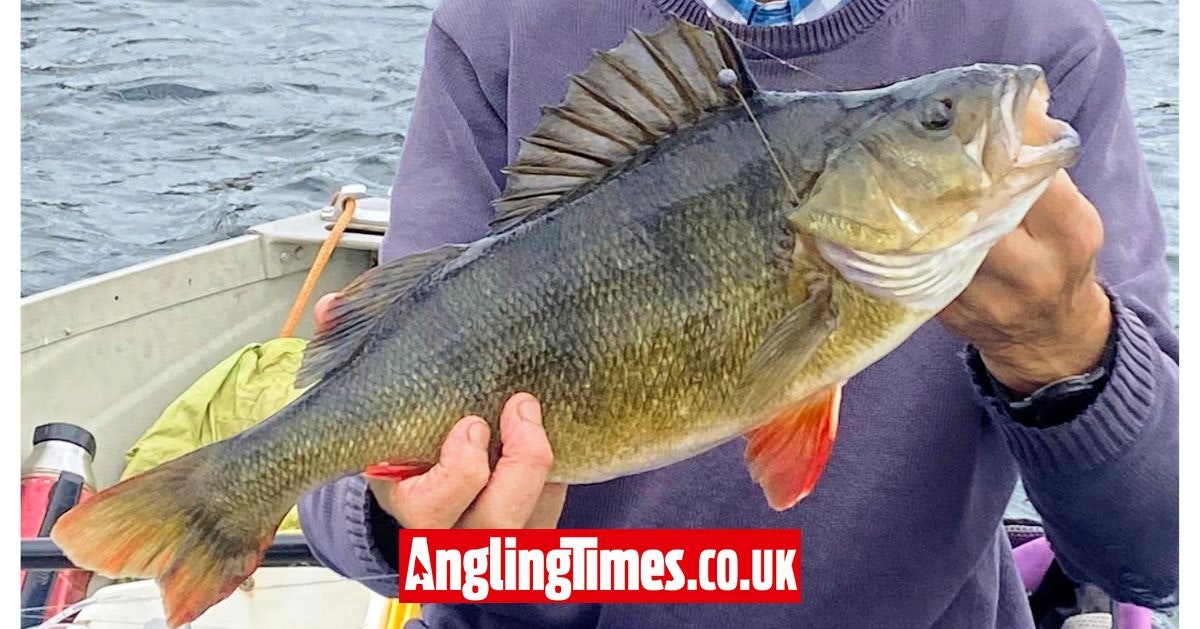 Anglers 80-year dream of catching a giant perch finally comes true