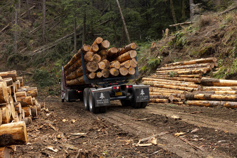 Lumber Prices Are Flashing a Warning Sign for the U.S. Economy