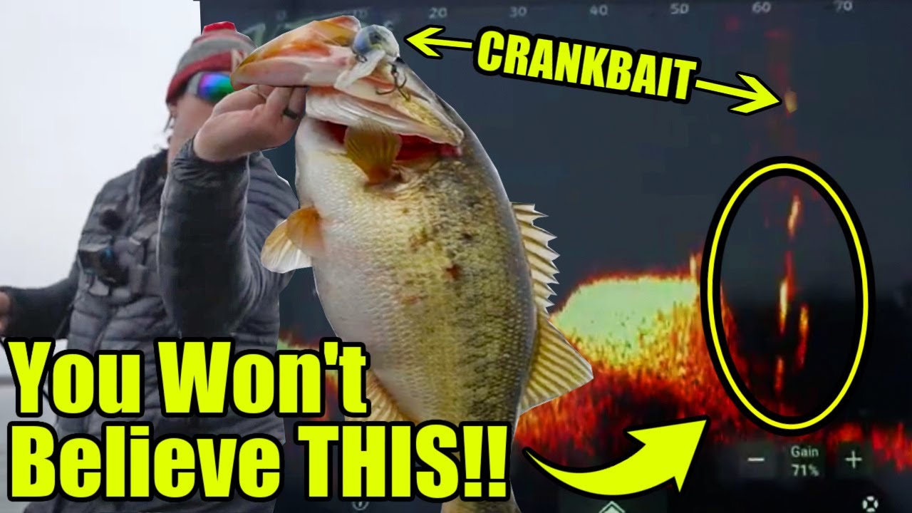 Double-digit bass eat crankbaits live scope like never before