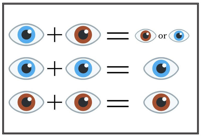 When do babies’ eyes change colour and are all babies born with blue eyes?