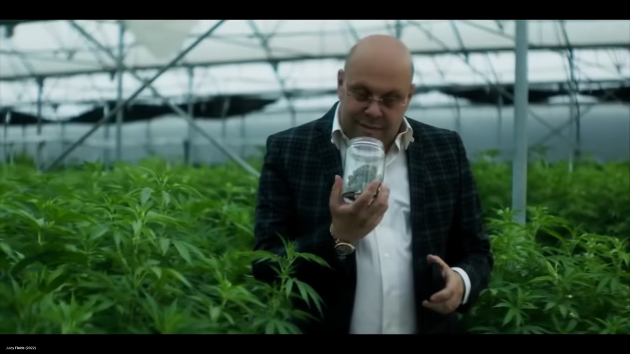 How A Cannabis Scam Fooled Everyone