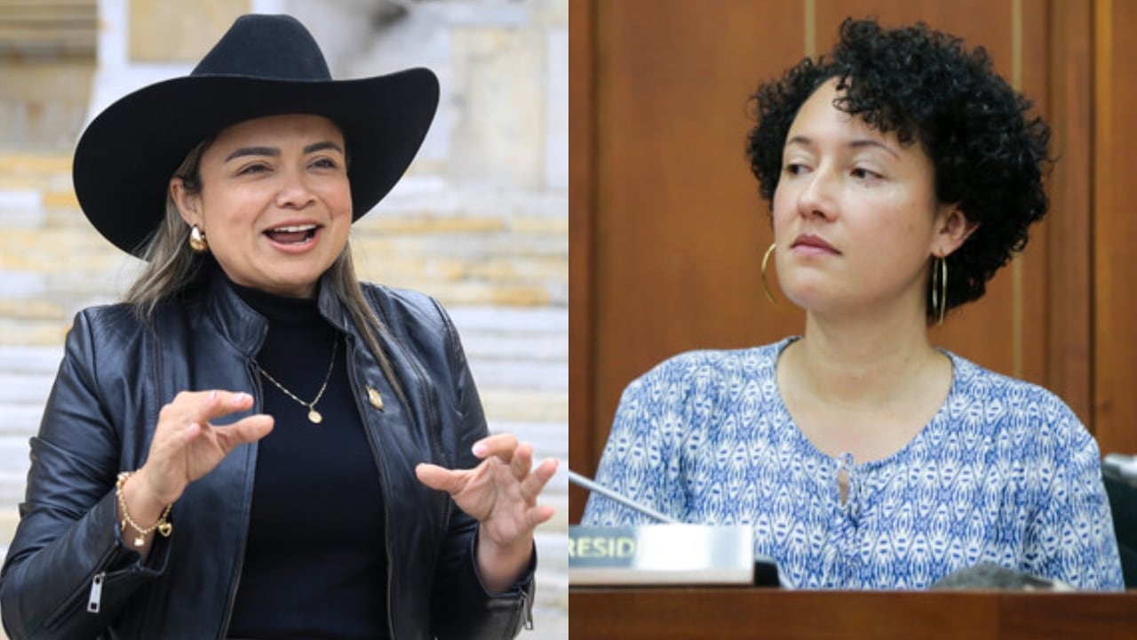 Congresista Lina María Garrido mandó a comer lechona a Isabel Zuleta ...