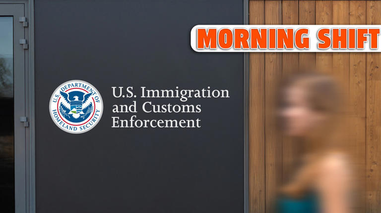 South Korean Companies Halt Georgia Investments After ICE Raid